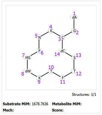 MacroMolecule – Mass Analytica